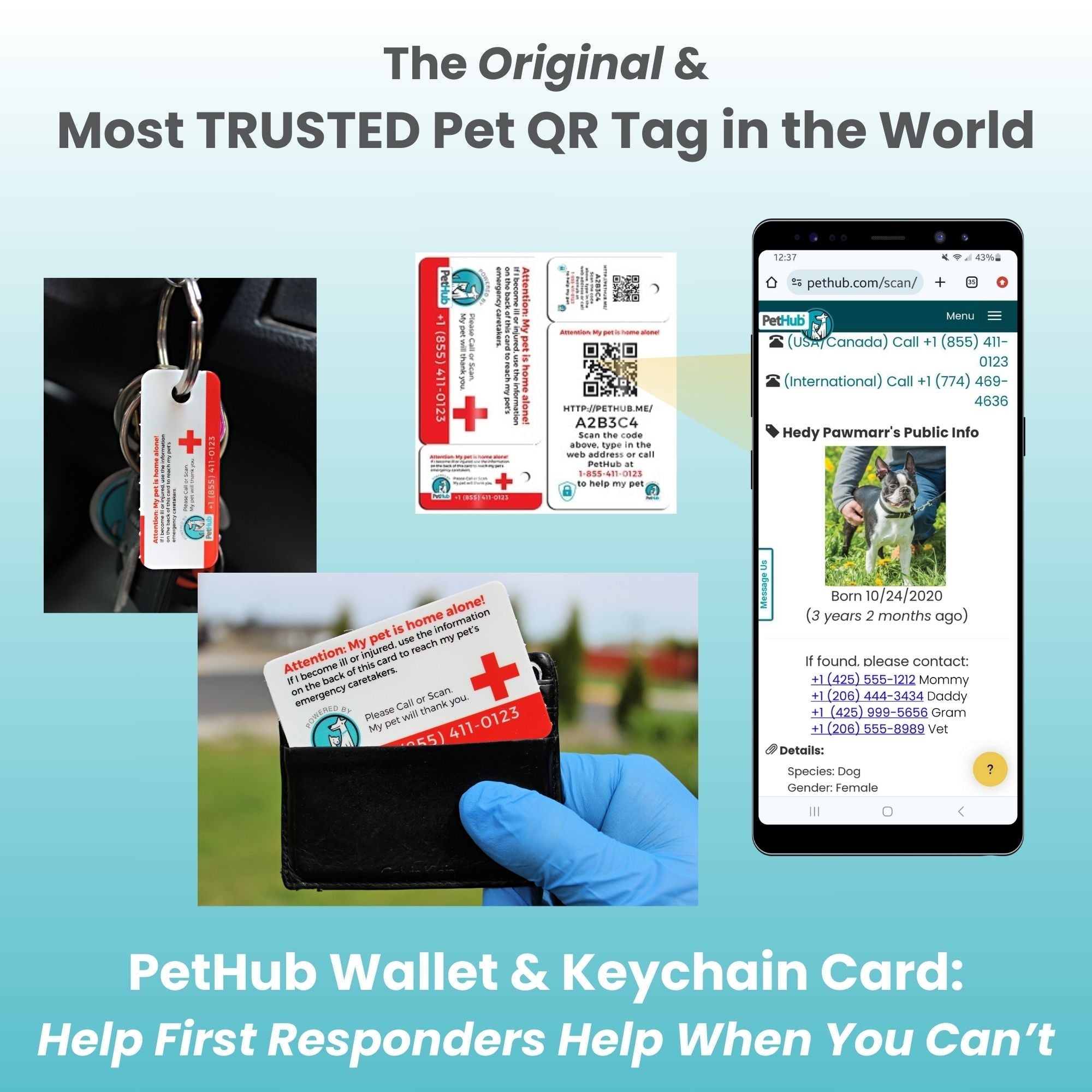 QR Pet Identification: Wallet & Keychain Card – PetHub